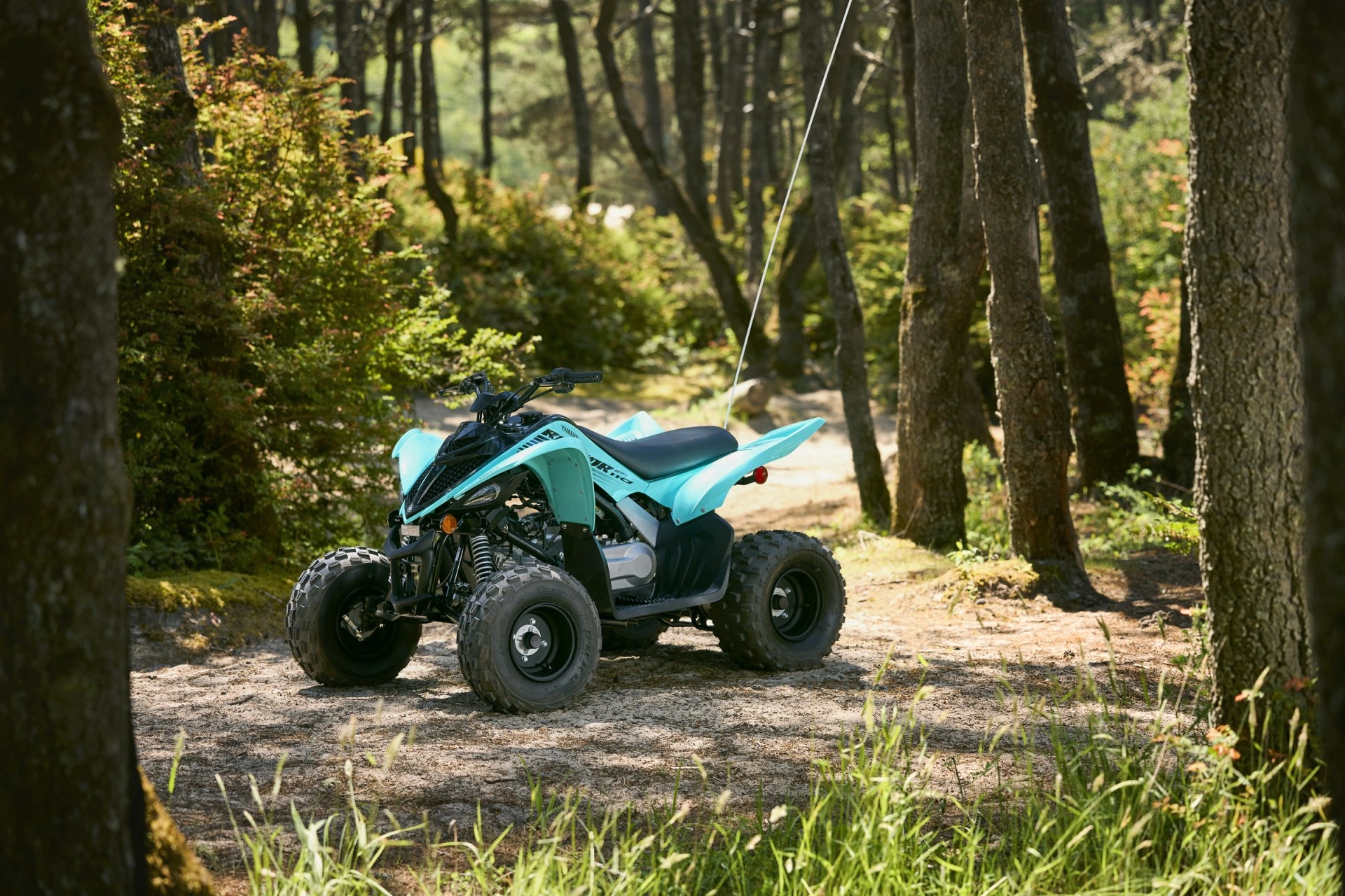 2025 RAPTOR 110 - Specifications | Yamaha Motorsports, USA