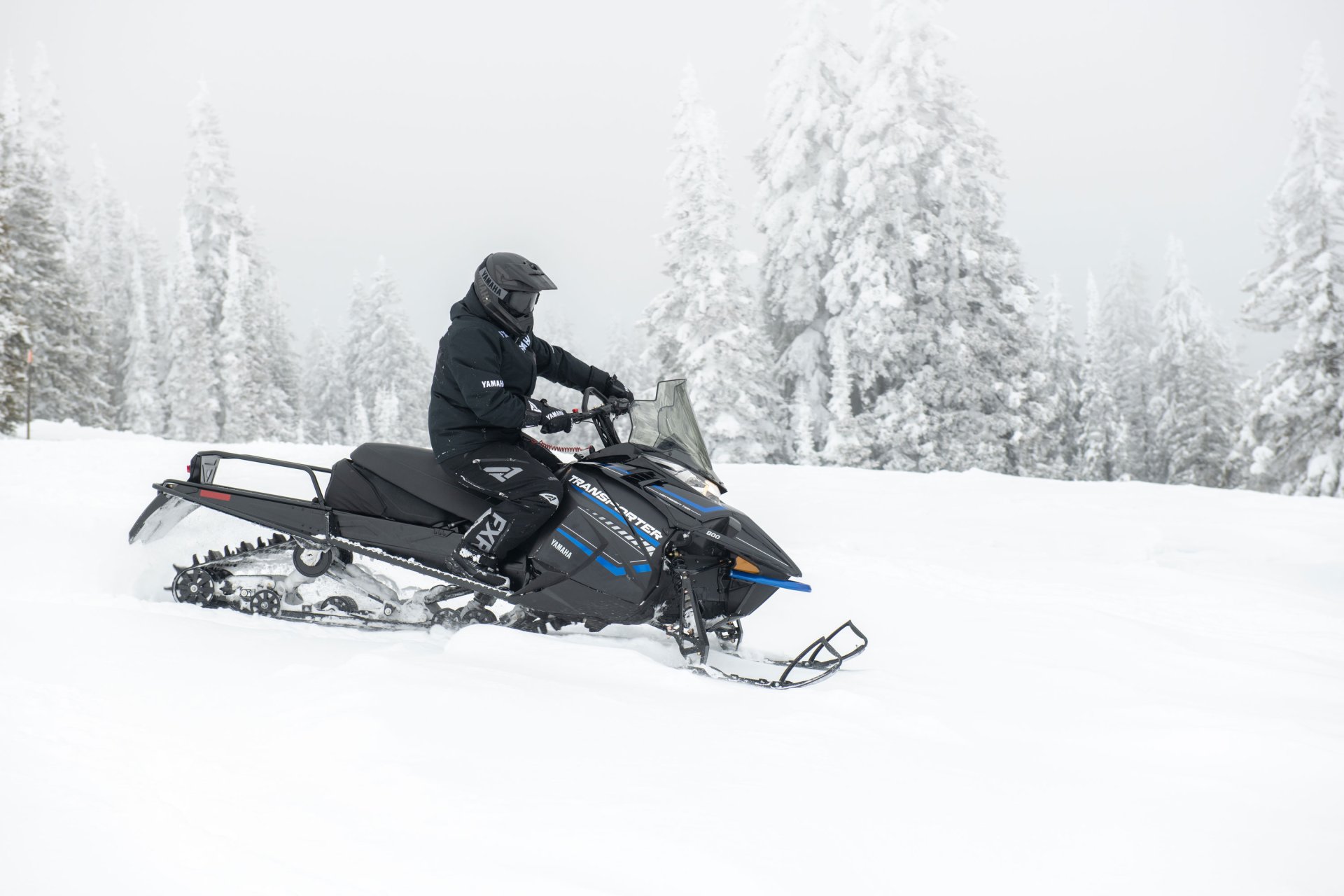 2025 TRANSPORTER 800 Yamaha Motorsports, USA