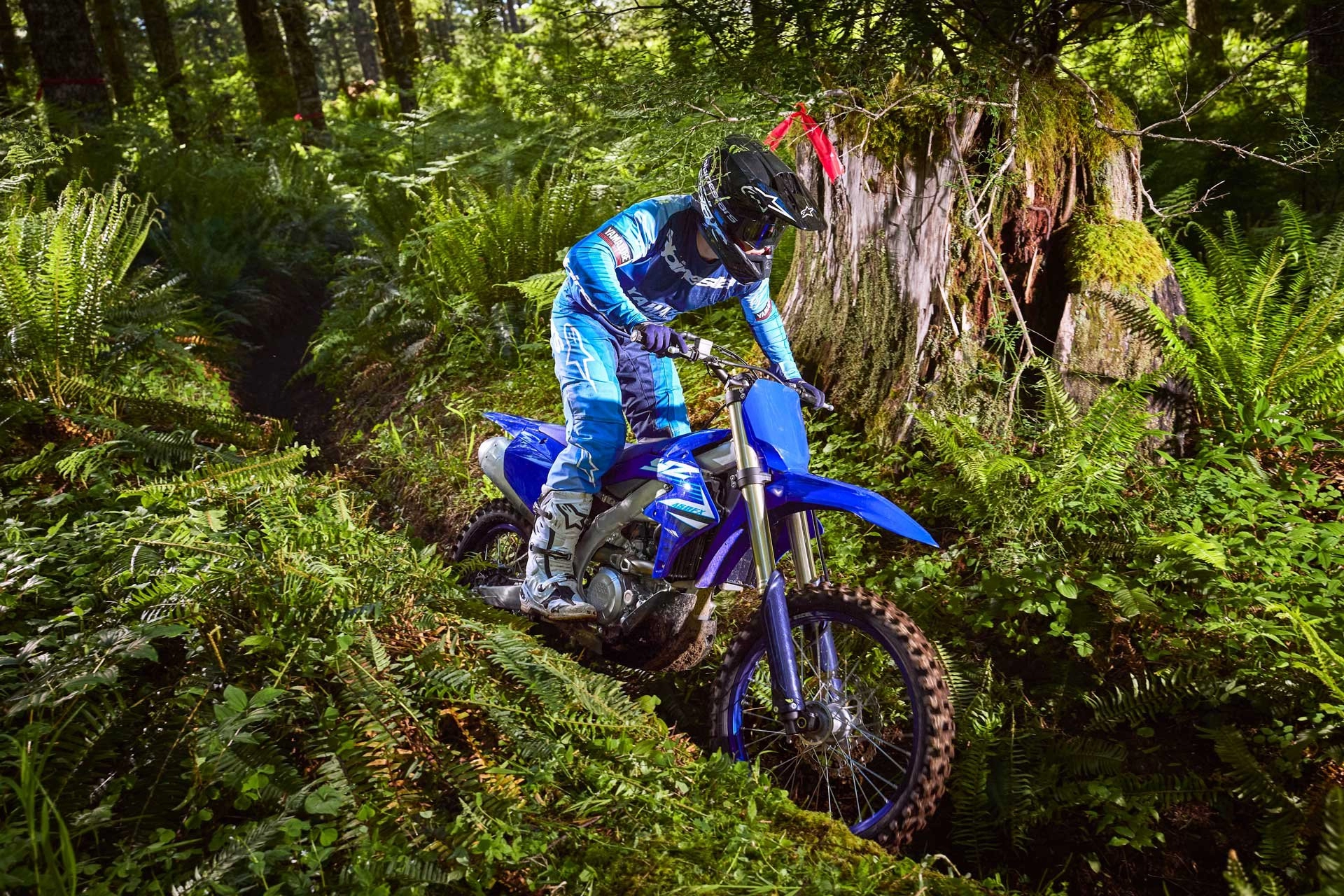 2025 YZ450FX - Key Features | Yamaha Motorsports, USA